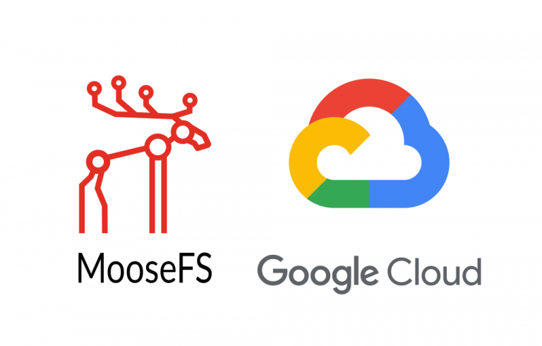 How to quickly set up the MooseFS cluster in Google Cloud » MooseFS Distributed Storage – the ...